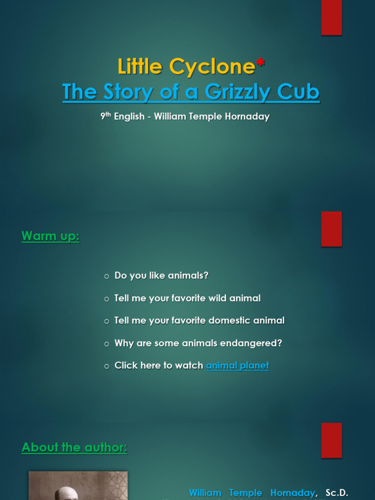 9th Little Cyclone | PDF | Grizzly Bear | Bears