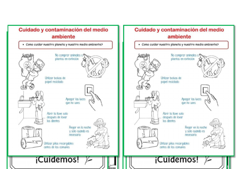 Cuidemos El Medio Ambiente | PDF