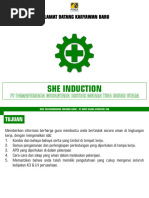 11 Golden Rules PT BC | PDF
