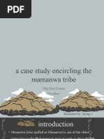 Indigenous People of Luzon | PDF | Ethnic Groups