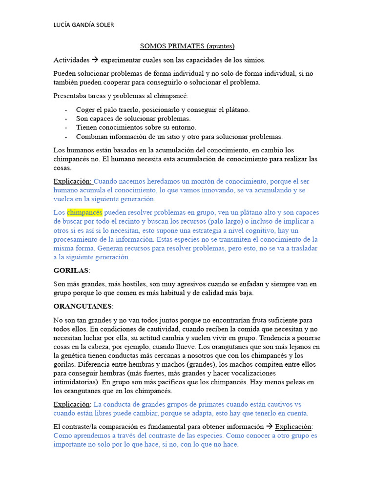 Somos Primates | PDF | Orangután | Humano