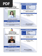 Barangay Officials Directory 2023 | PDF