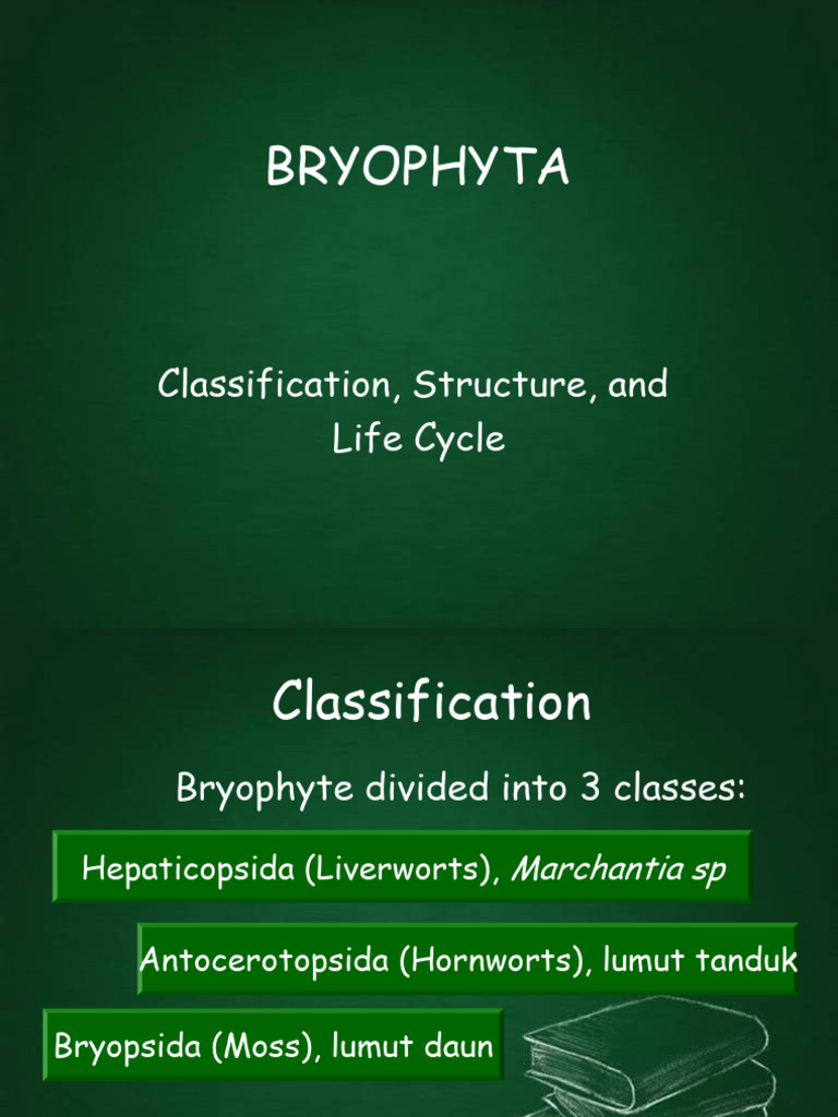 Classification and Structure of Bryophytes | PDF