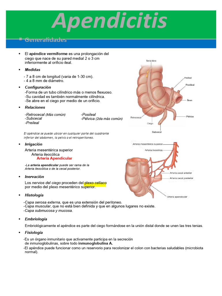 Apendicitis | PDF | Especialidades Medicas | Medicina