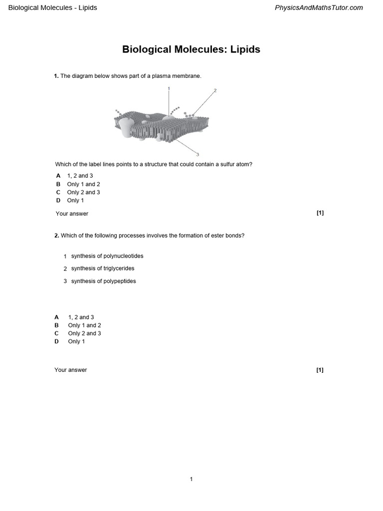 Understanding Lipids in Biology | PDF | Lipid | Fatty Acid