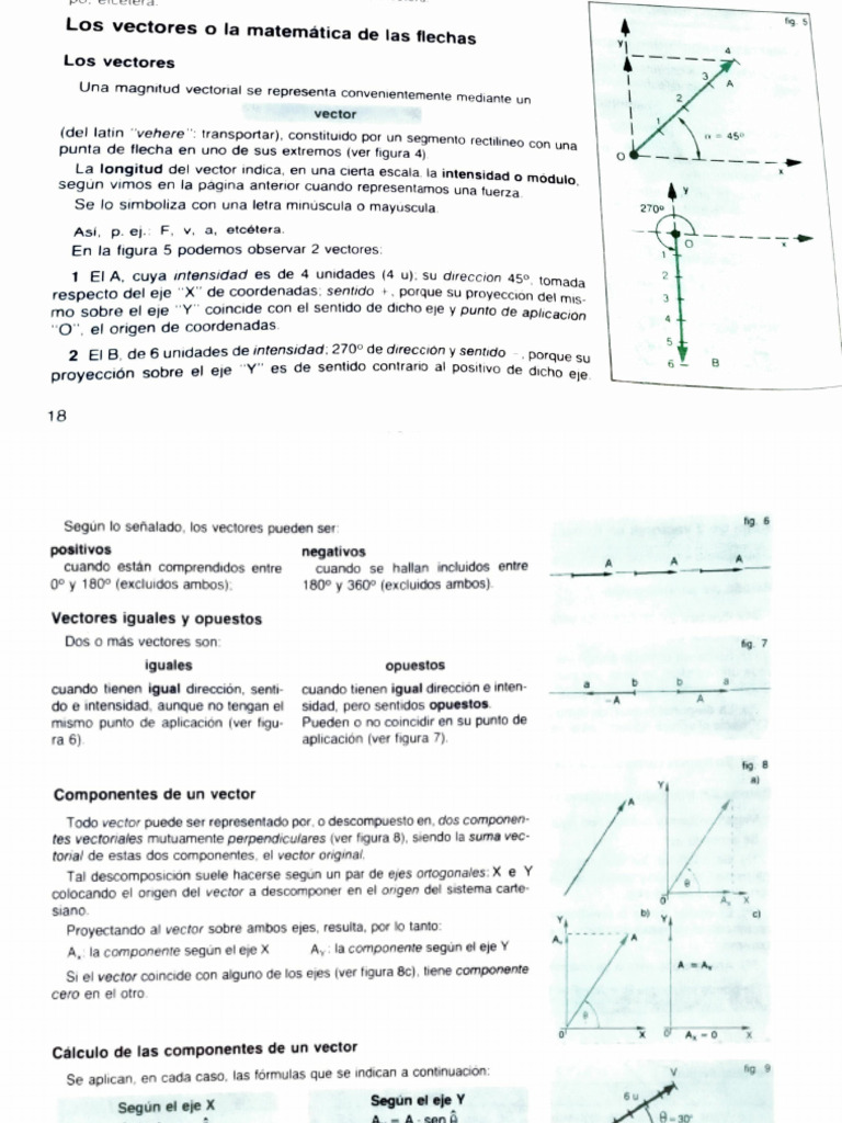 Introducción a los Vectores y su Cálculo | PDF | Vector Euclidiano ...