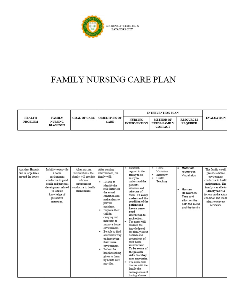 SAMPLE-FAMILY-NCP | PDF | Nursing | Risk