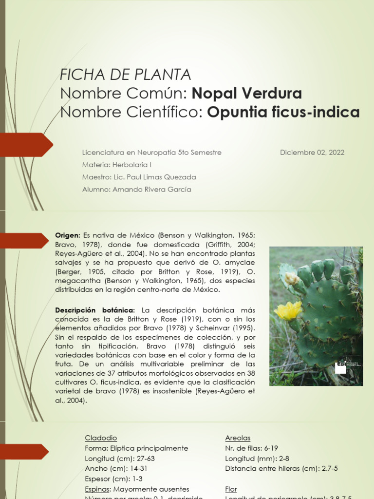 FICHA DE PLANTA Nopal | PDF | Diarrea