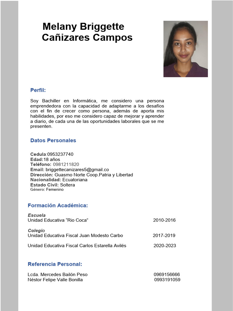 Curriculum Briggette | PDF