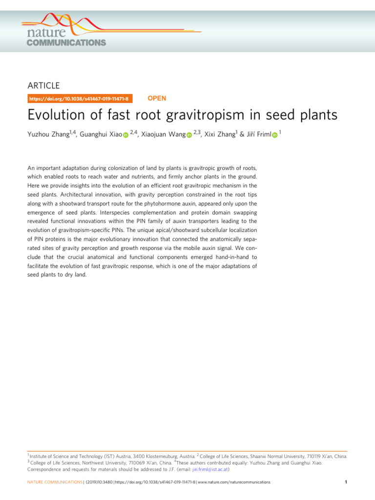Evolution of Fast Root Gravitropism in Seed Plants | PDF | Root | Plants