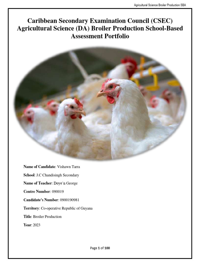 Broiler Production SBA Overview | PDF | Broiler | Chicken