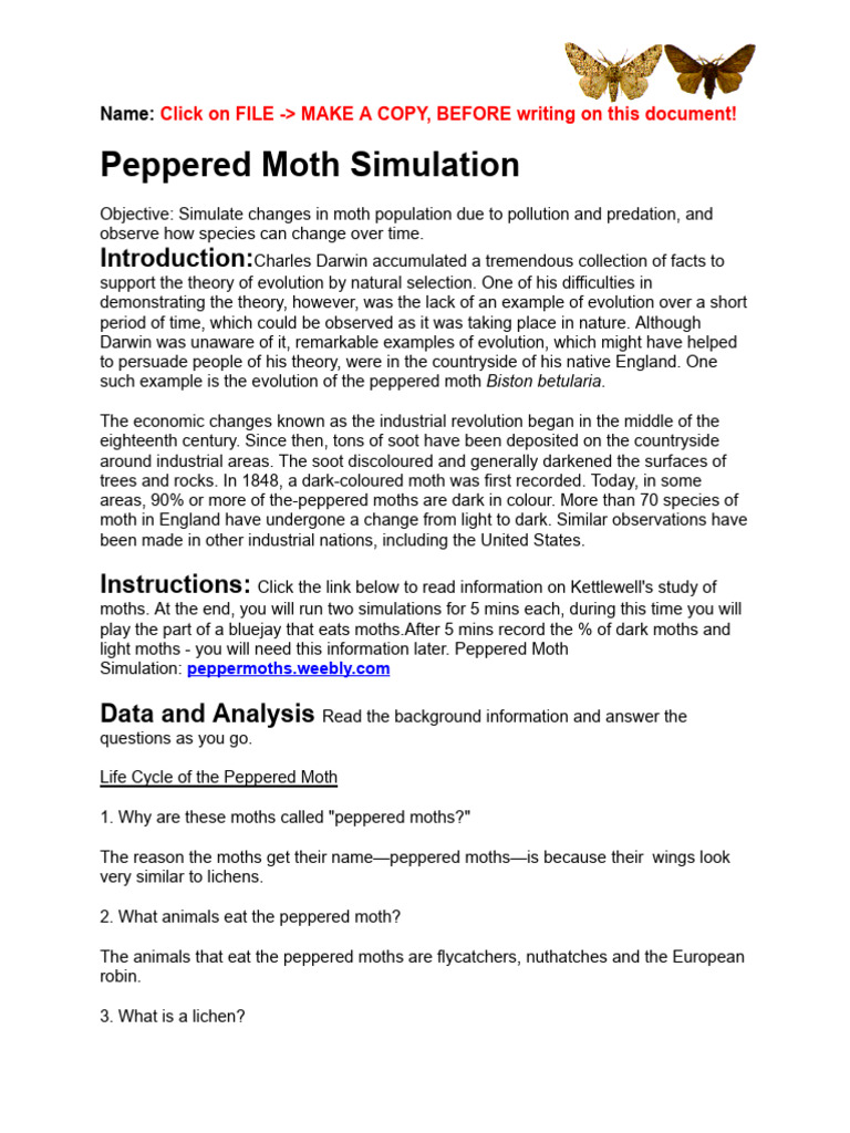 Peppered Moth Simulation | PDF | Natural Selection | Biological Evolution