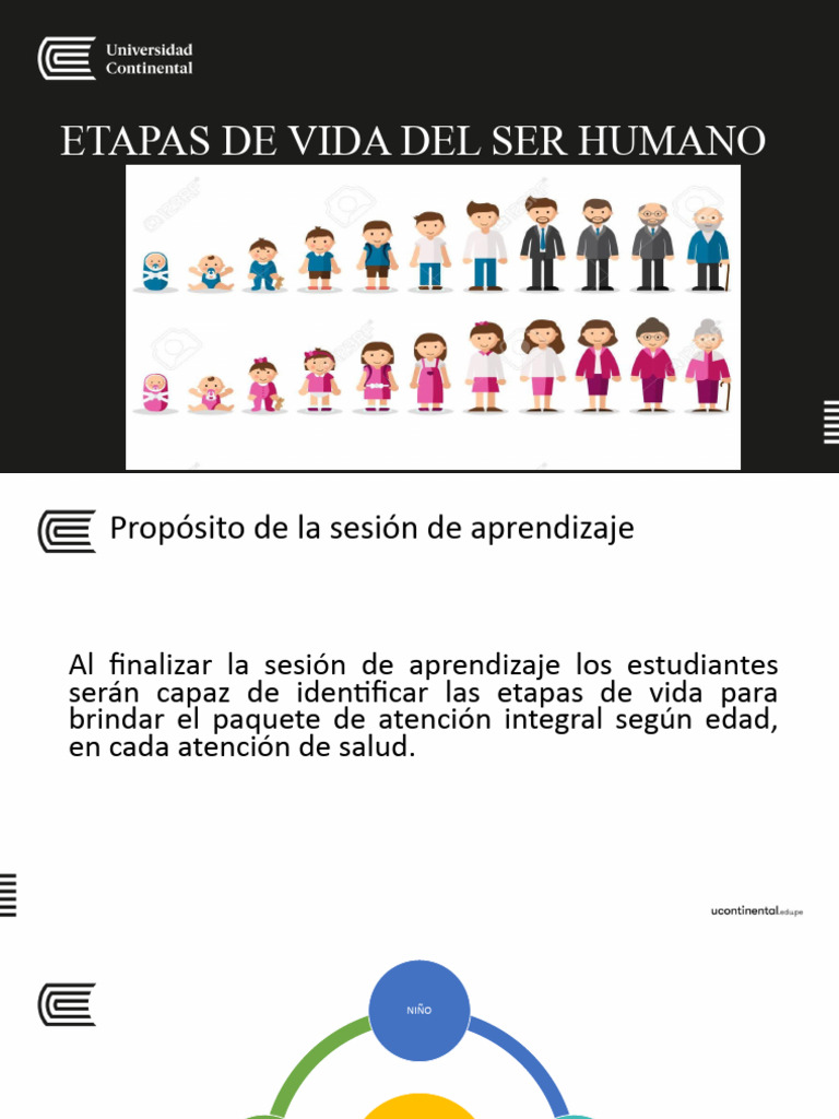 16 Etapas de Vida | PDF