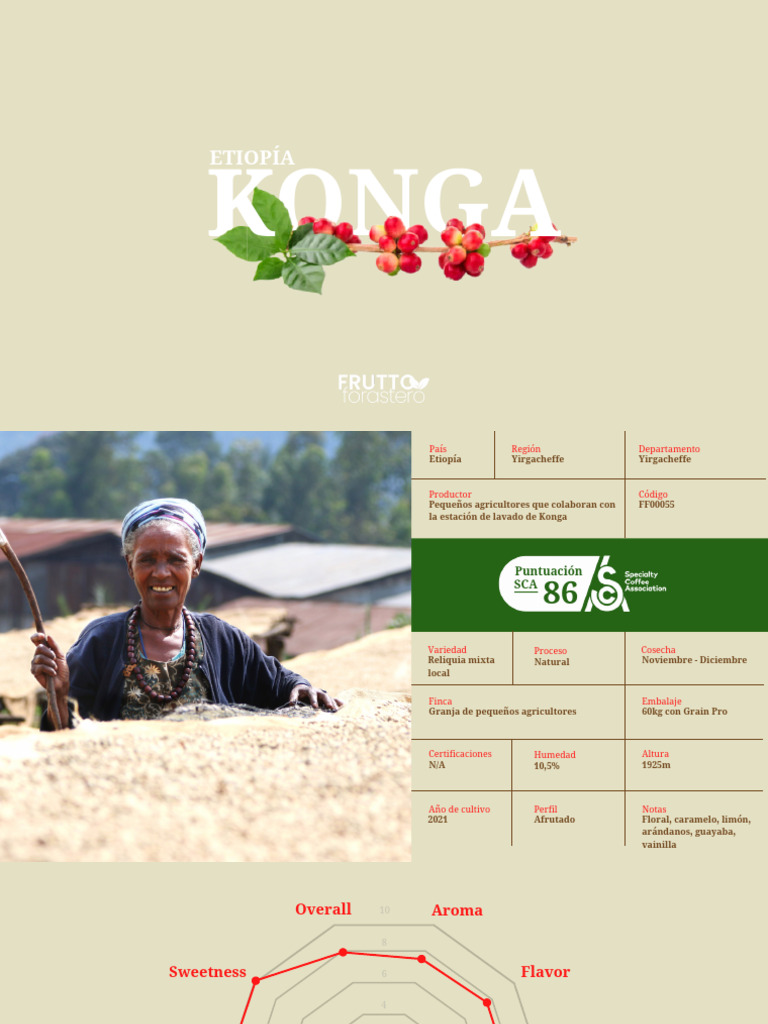 FF055 - Konga | PDF | café | Comida y bebida