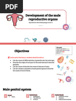 Prehn Sign | PDF | Sexual Anatomy | Male Genital Disorders