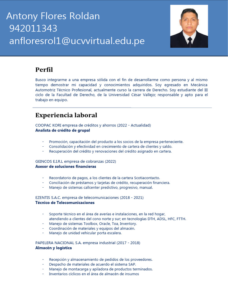 Antony CV | PDF | Pequeñas y medianas empresas | Economias