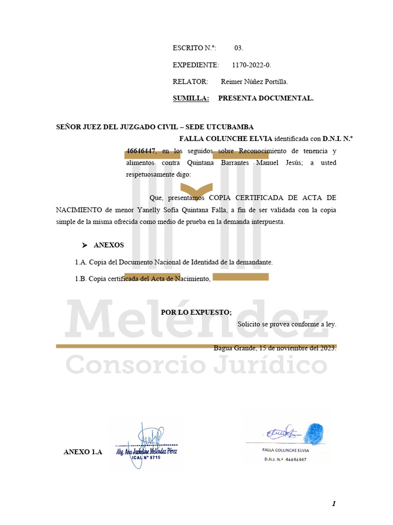 Exp. 1170-2022 Presento Documental | PDF