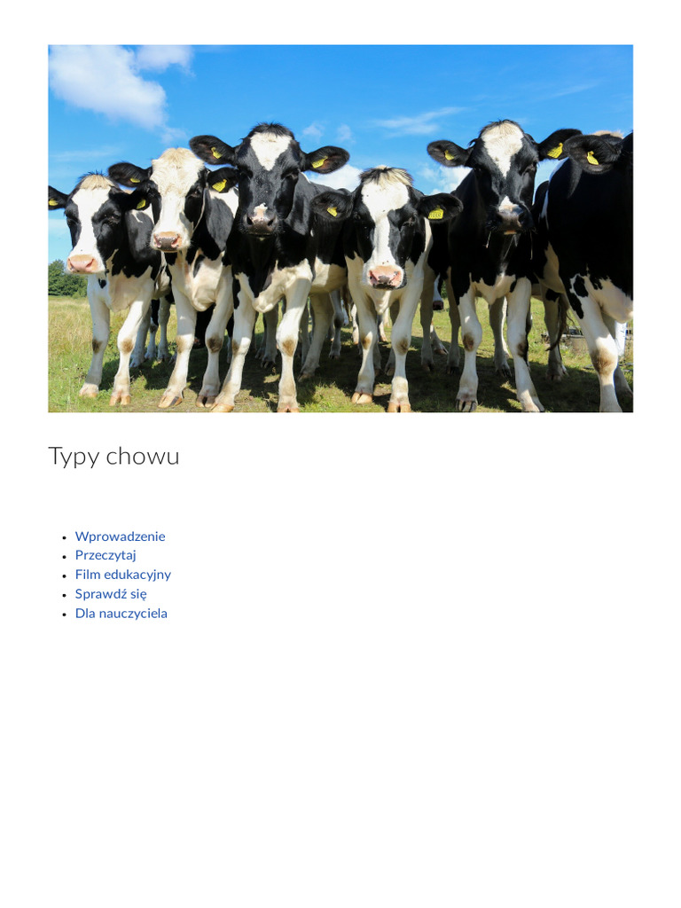 Typy Chowu | PDF