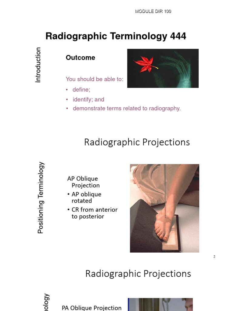 Positioning Terminology 444 | PDF