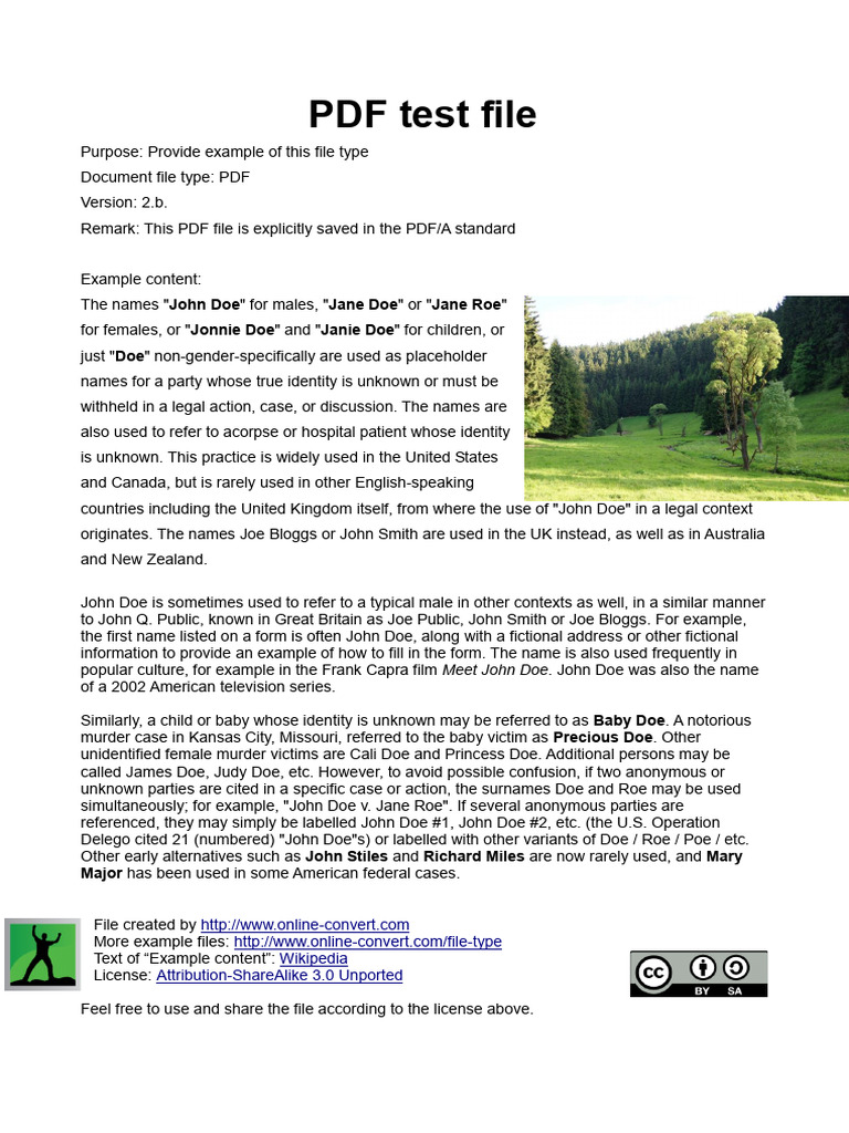Example PDF A 2b | Download Free PDF | John Doe