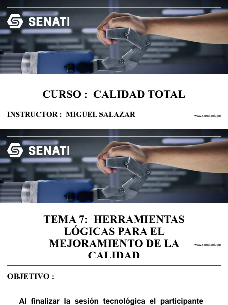 Tema 7 | PDF | Histograma | Informática