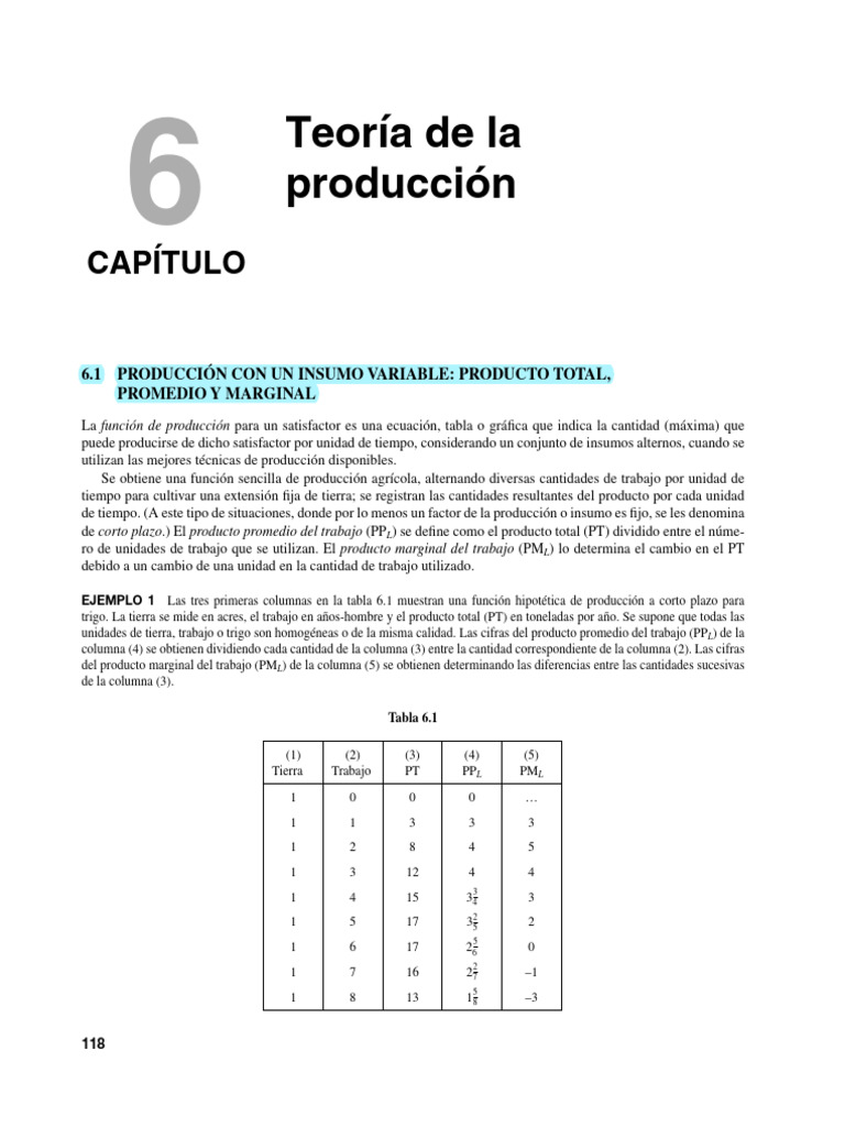 Teoria de La Producción y Costos I | Descargar gratis PDF | Economias | Ciencias económicas