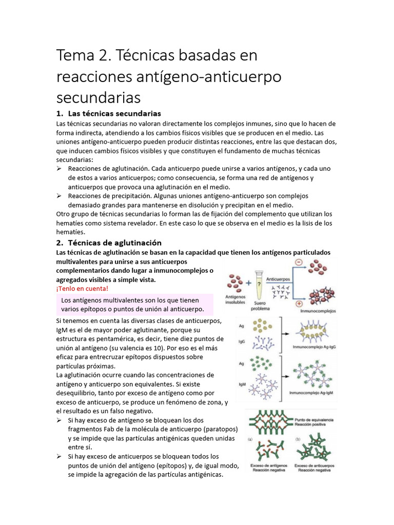 Tema 2 Inmunología | PDF | Anticuerpo | Sistema complementario