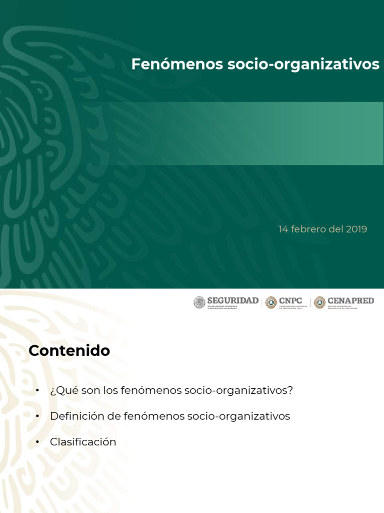 Fen Menos Socio-Organizativos | PDF