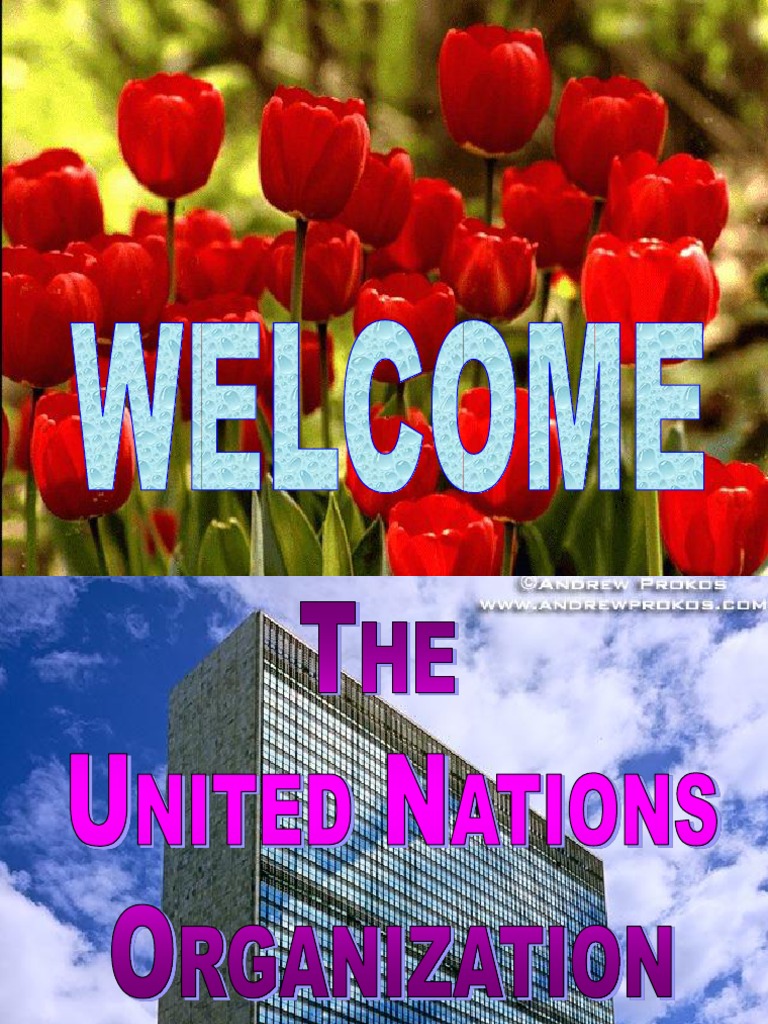 The Uno | PDF | United Nations | International Relations