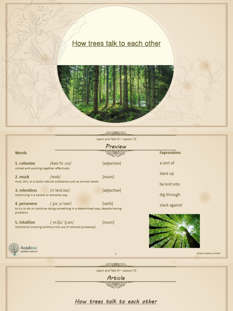 How Trees Talk To Each Other | PDF | Adjective