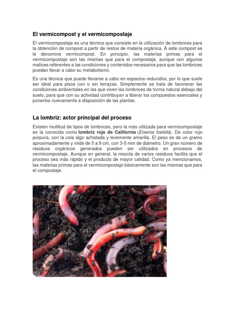 El Vermicompost y El Vermicompostaje | PDF | Compost | Fertilizante