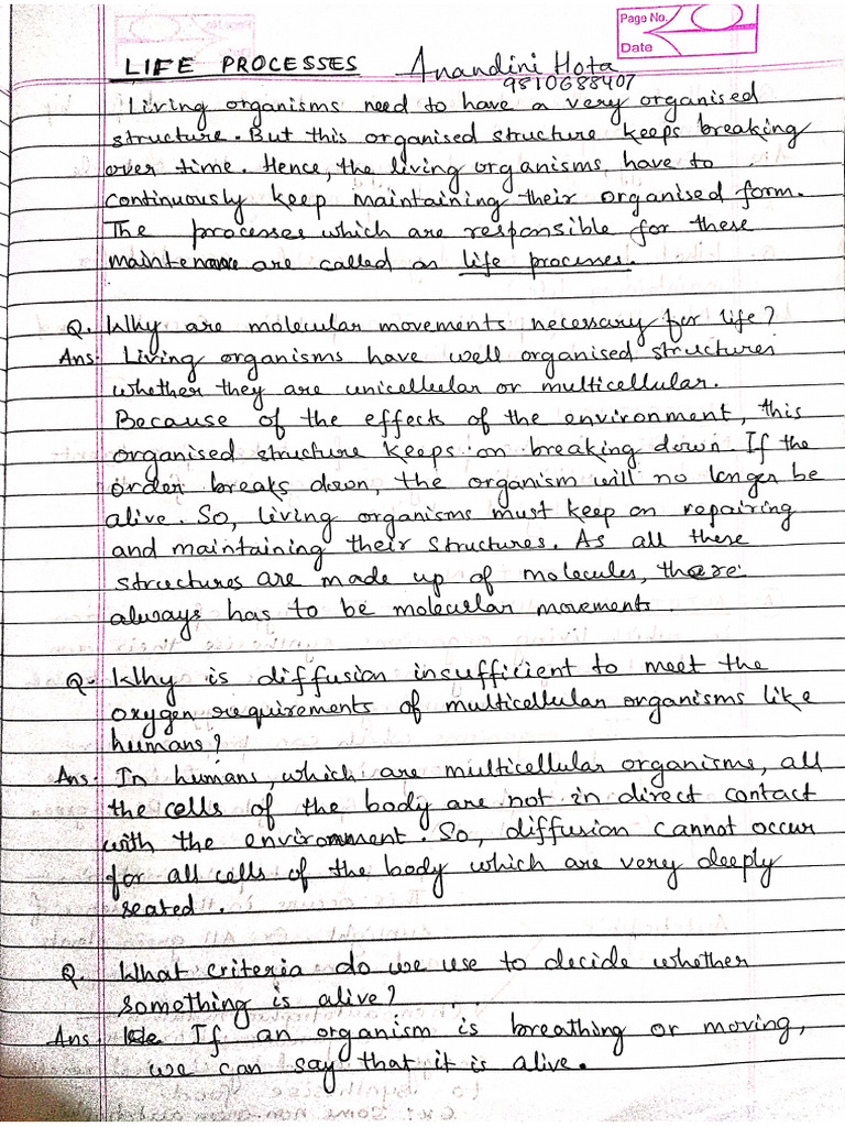NUTRITION Notes | PDF