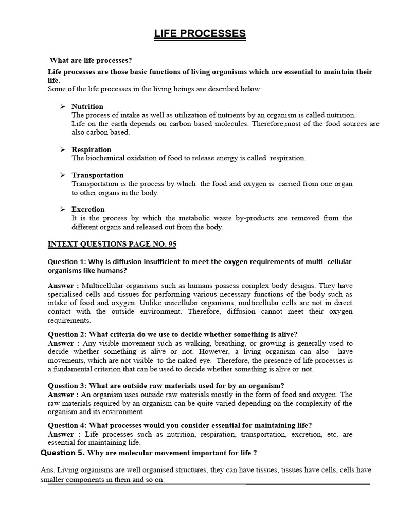 Life Processes | Download Free PDF | Diet & Nutrition | Nutrition