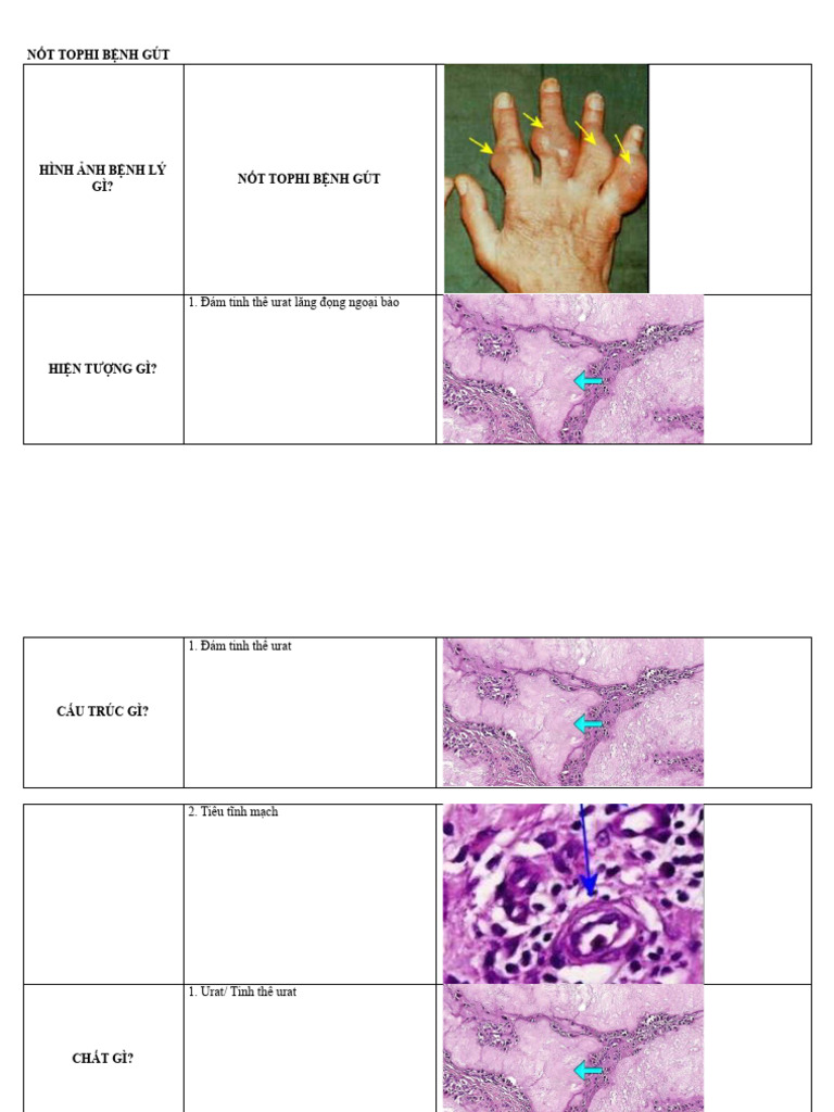 ÔN TẬP THI CK2 | PDF