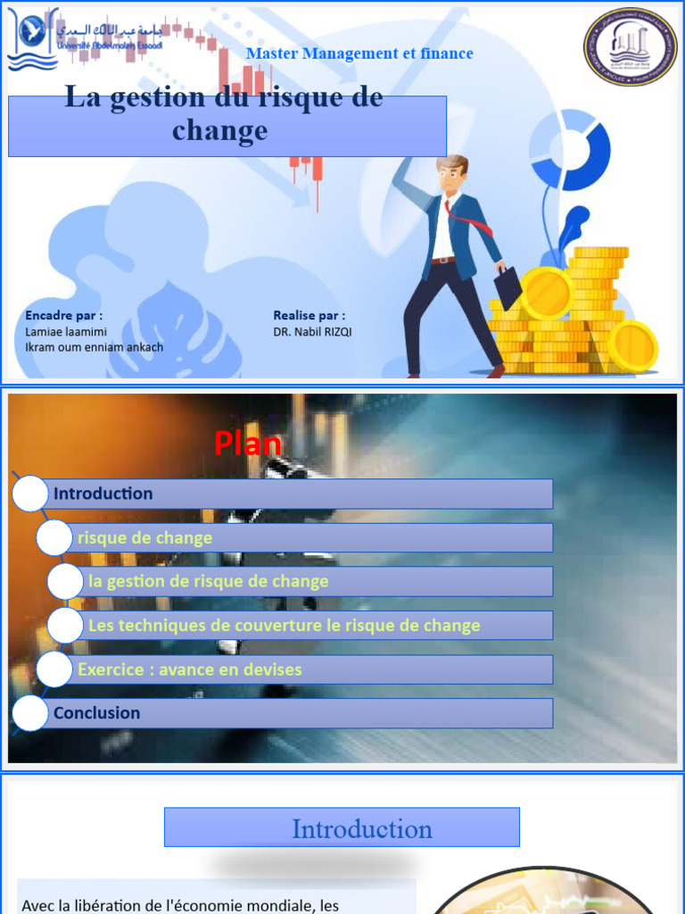 Gestion de Risque de Change 11 | PDF | Option (Finance) | Risque