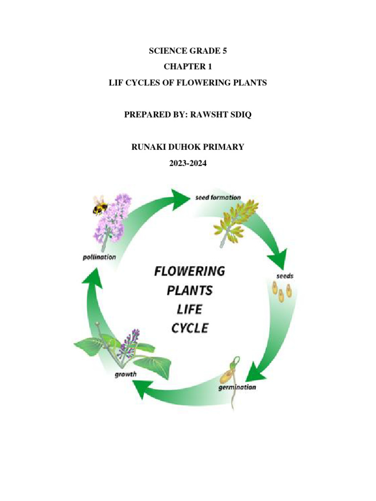 Chapter 1 Grade 5 Pdf Flowers Petal