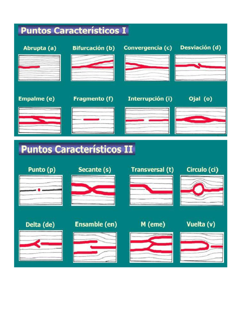 Puntos Caracteristicos | PDF
