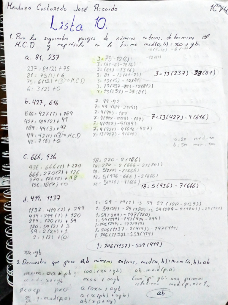 LISTA 10 - Joel Nava Lara | PDF