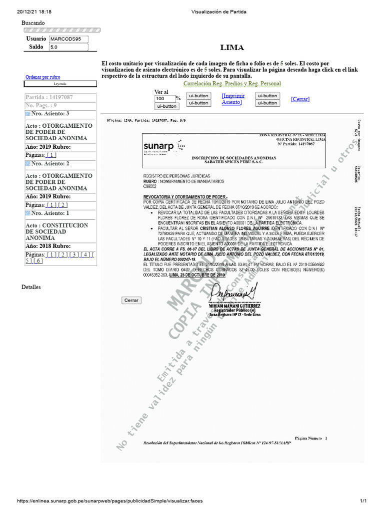 Visualización De Partida Pdf