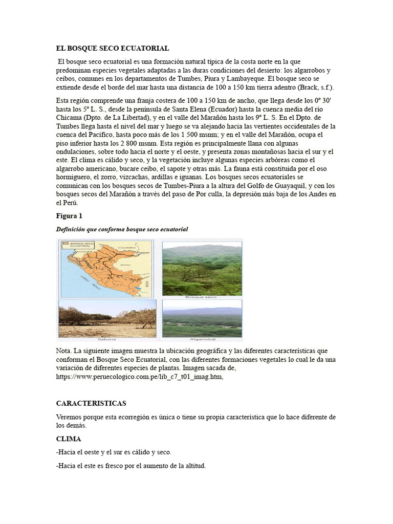 Características del Bosque Seco Ecuatorial | PDF | Geografía Física ...