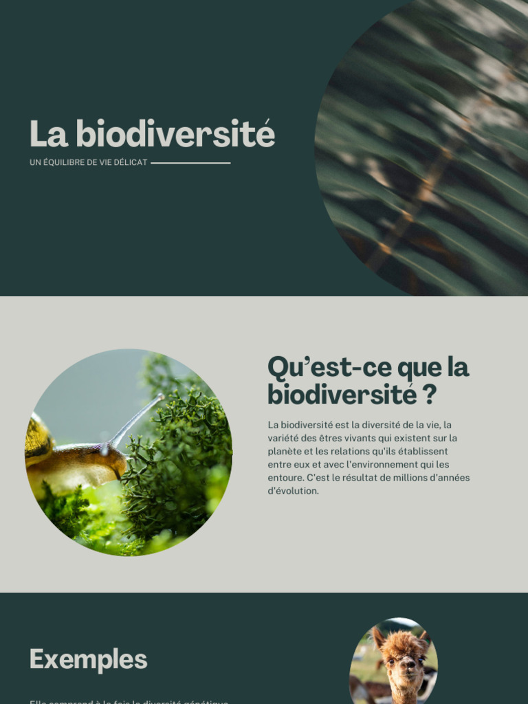 Comprendre la biodiversité et son importance | PDF