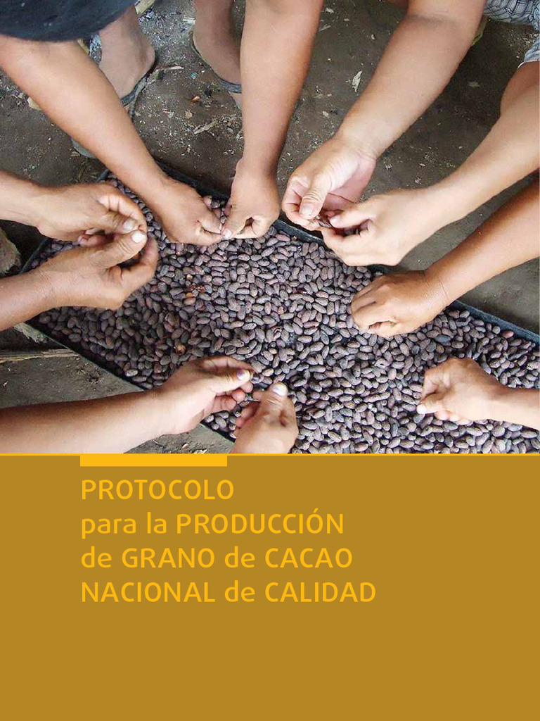 Protocolo para La Produccion de Grano de Cacao de Calidad648 | PDF | Cosecha | Residuos
