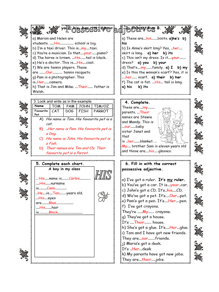 Possessive Adjectives | PDF | Domesticated Animals