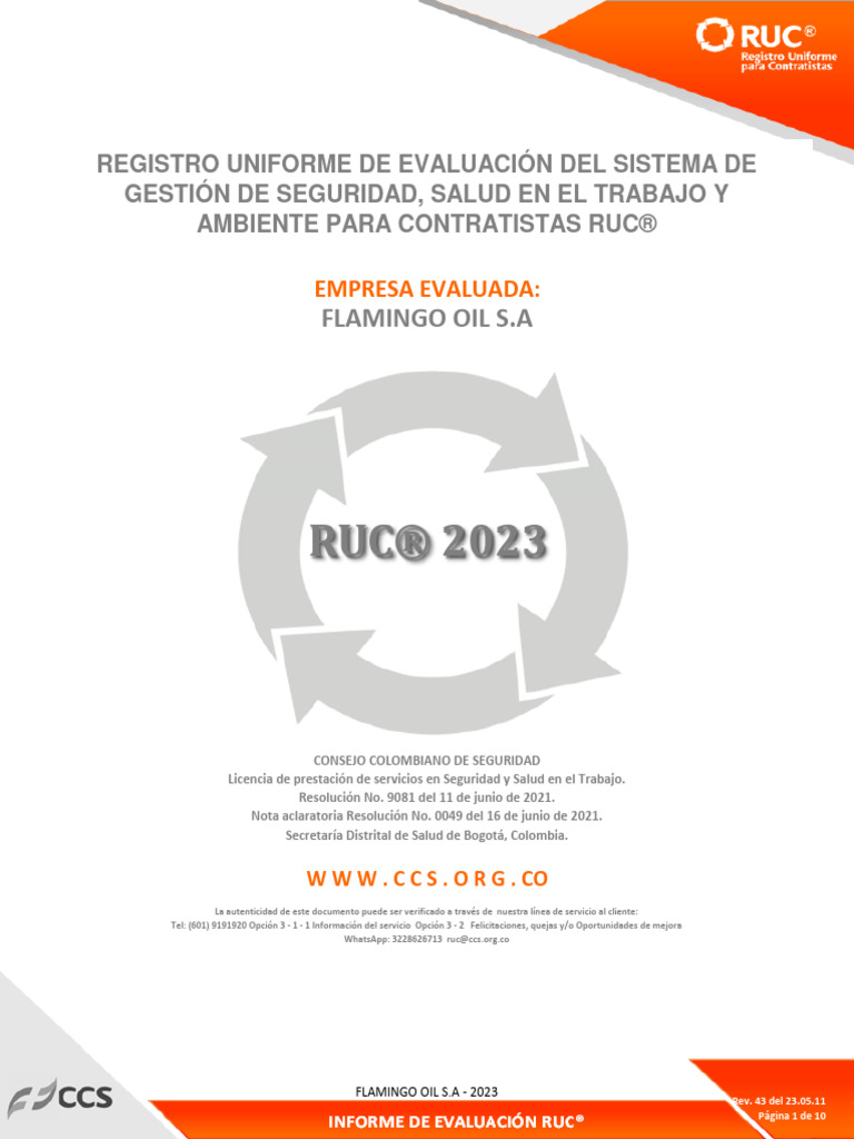 Auditoria RUC 2023 | PDF | Auditoría | Business