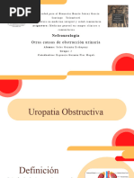 Obstrucción y Estasis Urinaria | PDF | Vejiga urinaria | Urología