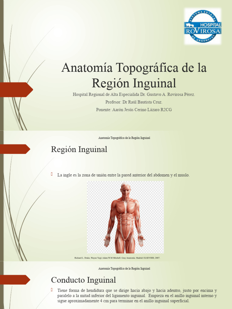 Anatomía Topográfica de la Región Inguinal | PDF | Abdomen | Anatomía