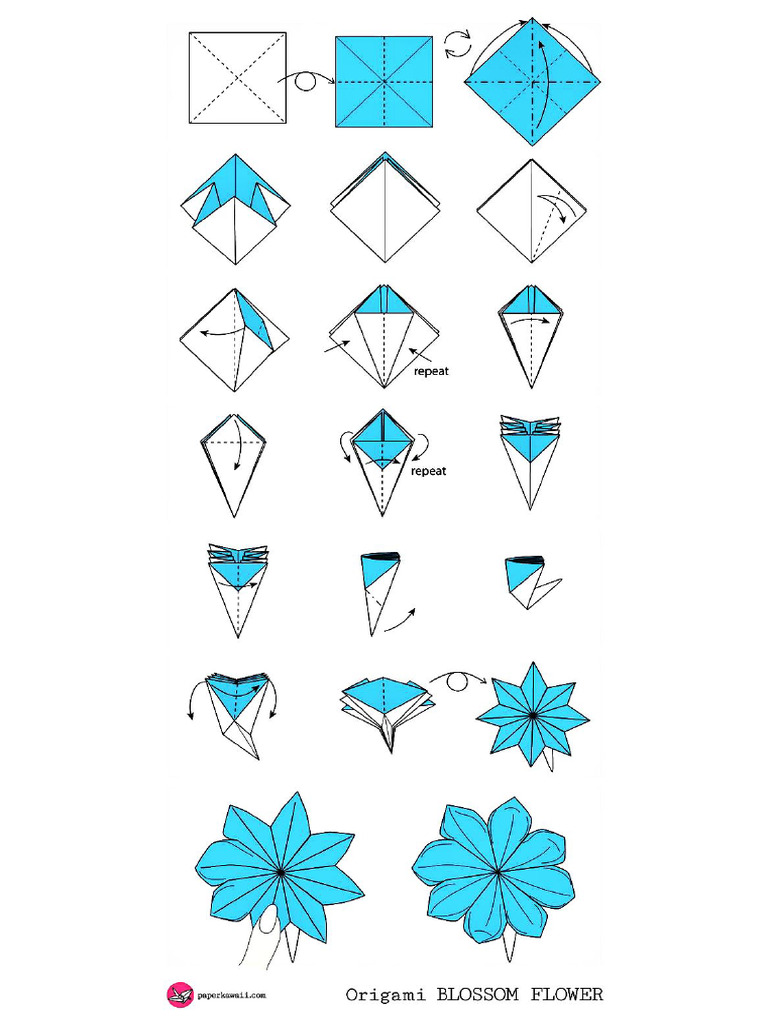 Origami 5 | PDF