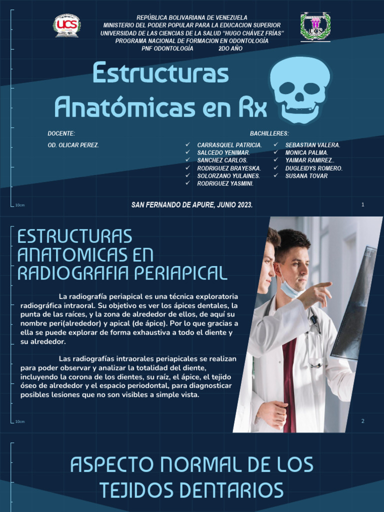 RX Periapical Diapositivas | PDF | Diente | Ramas de Odontología