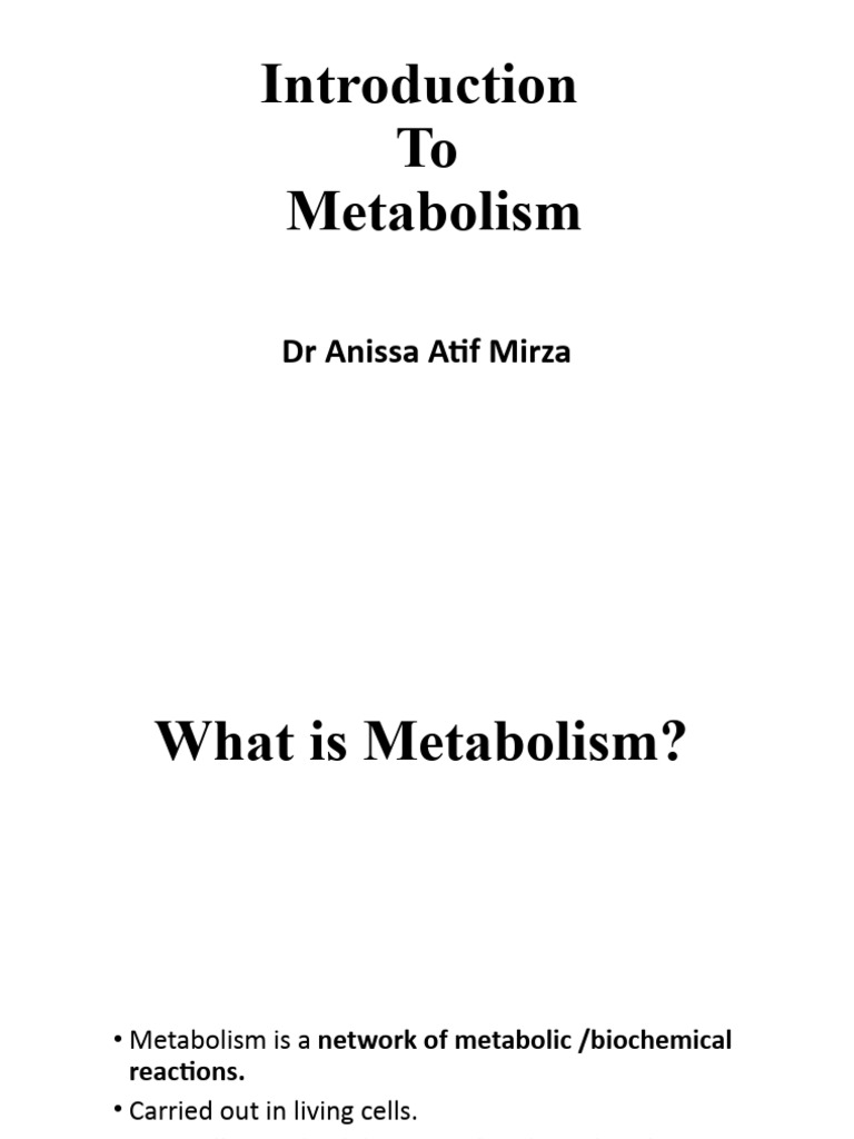 Introduction To Metabolism | Download Free PDF | Metabolic Pathway ...