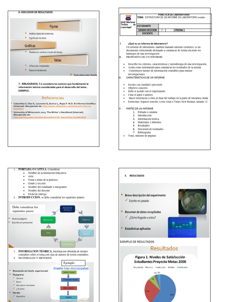 Informe de Laboratorio | PDF | Bibliografía | Science